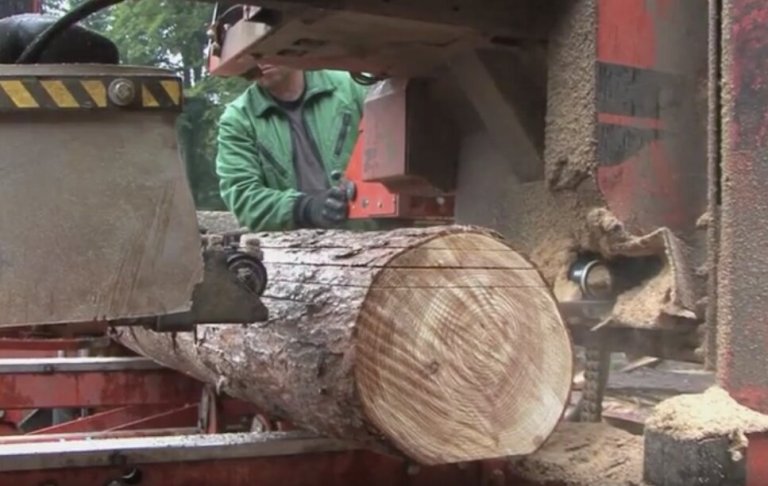 Lübeck: Another Way of Logging – Yellow Point Ecological Society