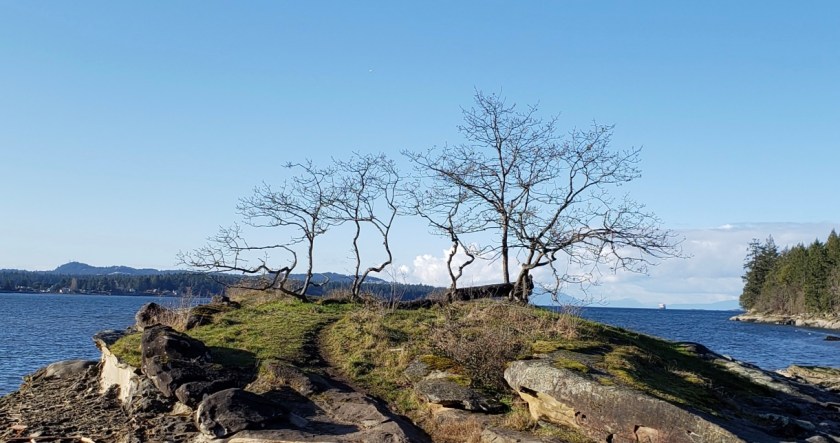The Trees of Yellow Point – Yellow Point Ecological Society