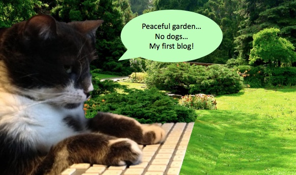 Twelve Ways to Write a Great Blog for the Yellow Point Ecological ...